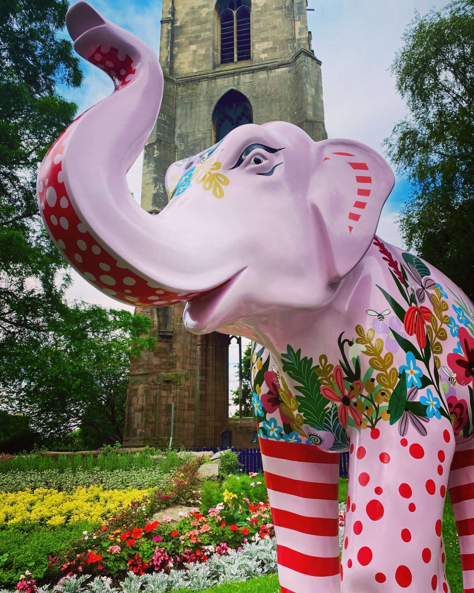 Leading the campaign to bring elephant to hospice - The Worcester Observer