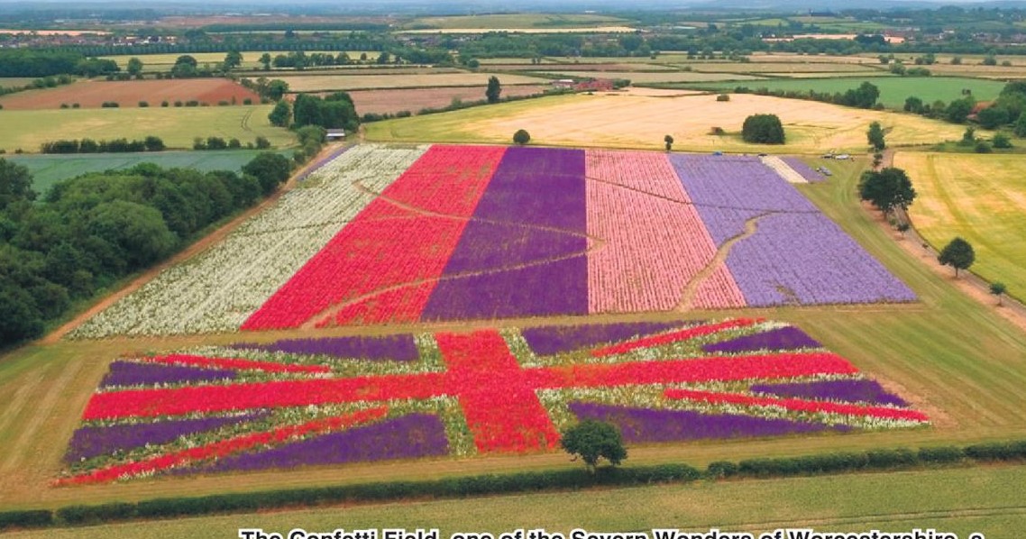 Confetti Fields top Worcestershire's wonders poll - The Worcester Observer