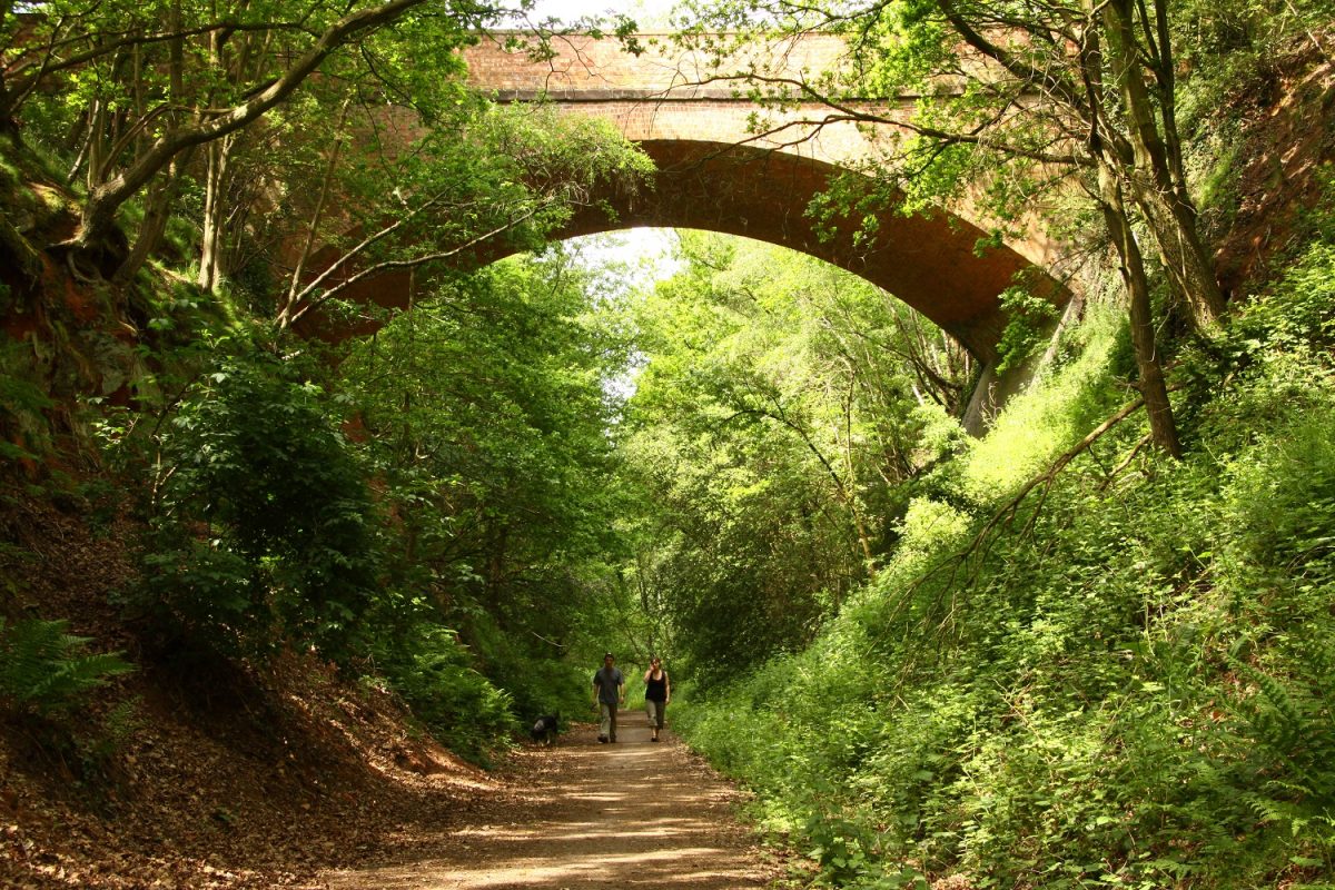 Views sought over Worcestershire's ‘green infrastructure’ - The ...