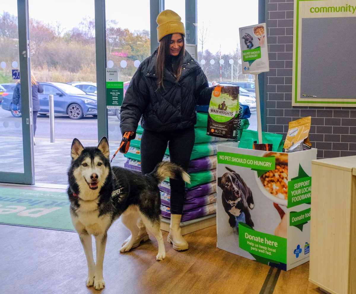 City pet store sets up donation point to help owners in need - The ...