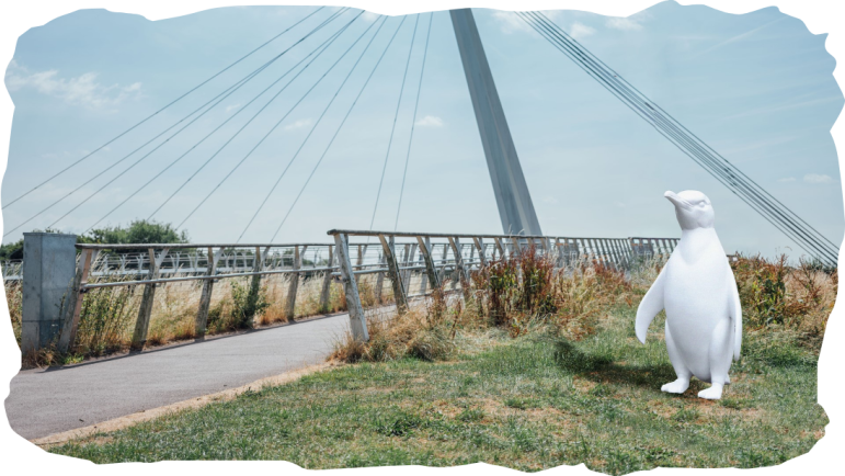 Penguins to waddle into Worcester for 2024 St Richard's fund-raising ...