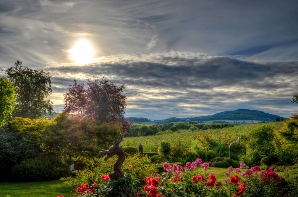 Fabulous garden open to visitors as part of National Gardens Scheme ...