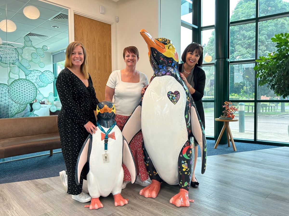 Mazak among trio to get behind hospice's Waddle of Worcester - The ...