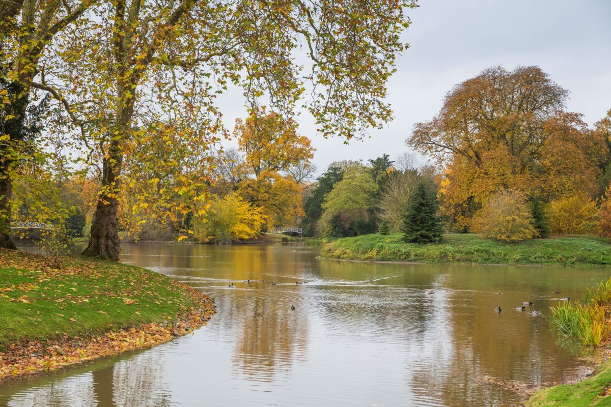 May half-term family fun at National Trust's Croome - The Worcester ...
