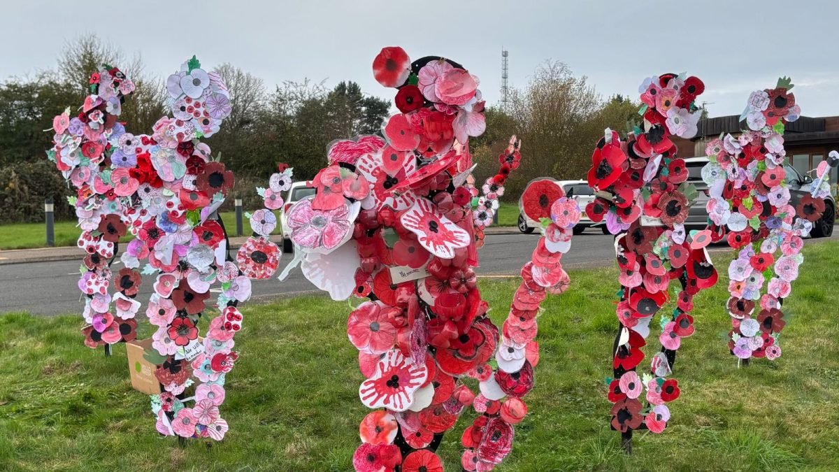 Communities invited to pin poppies on army statues across West Mercia ...