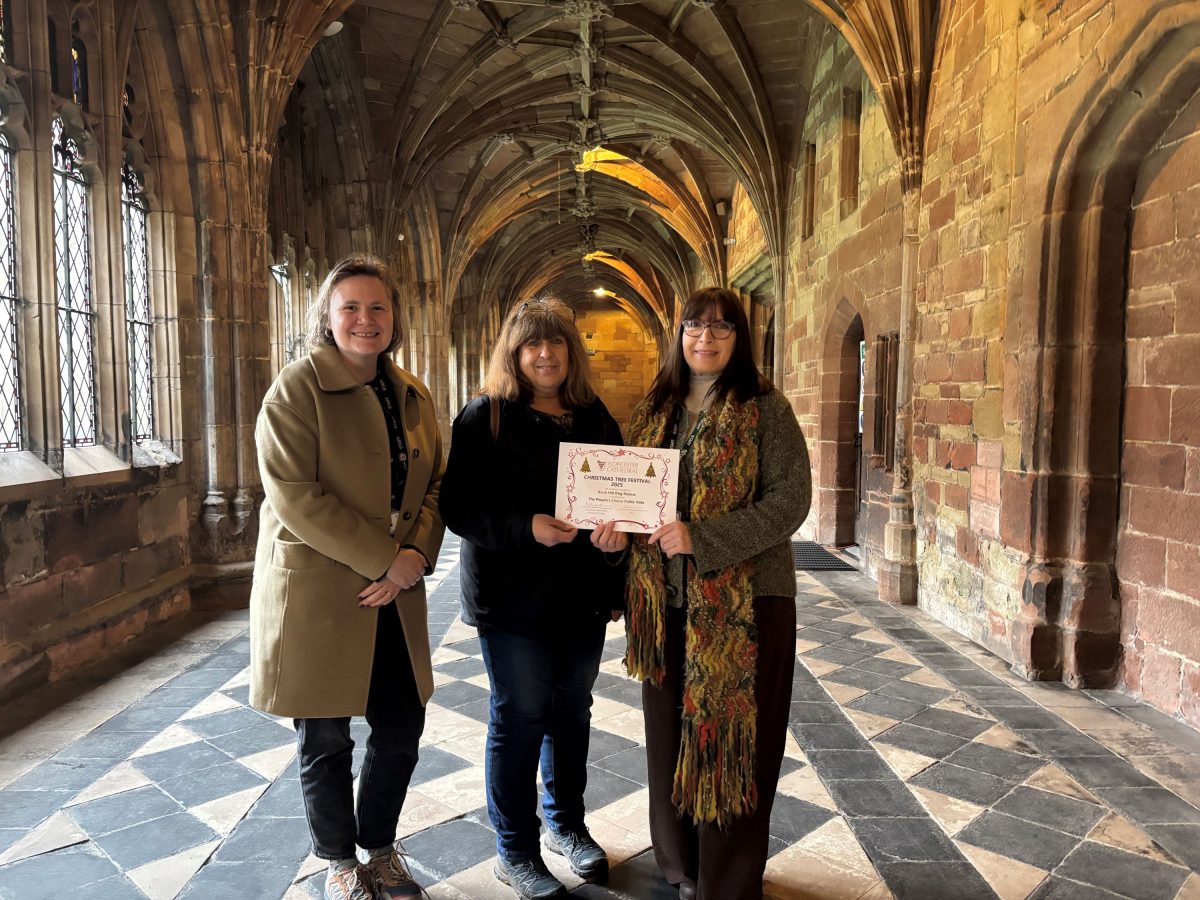 Worcester Cathedral Christmas Tree Festival winners revealed - The ...