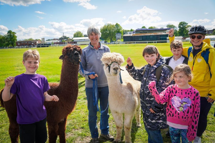 Worcester Show promises fun for all the family - The Worcester Observer
