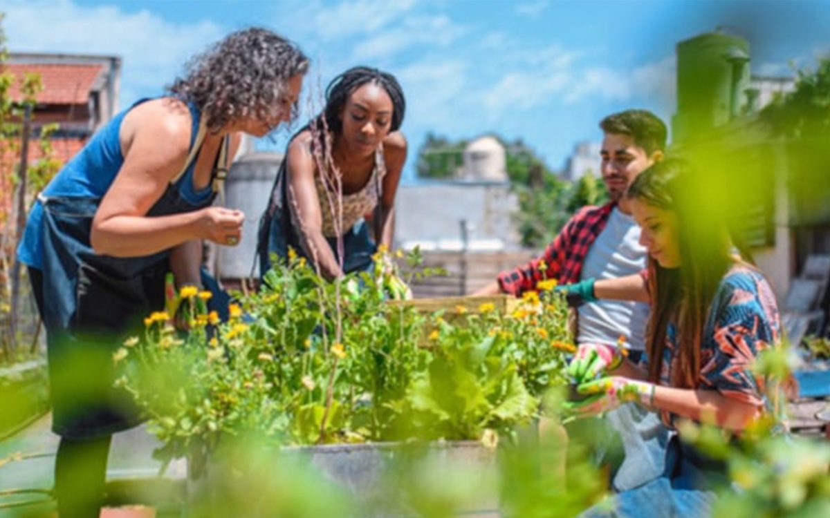 Worcestershire green spaces to benefit from Grid giveaway - The ...